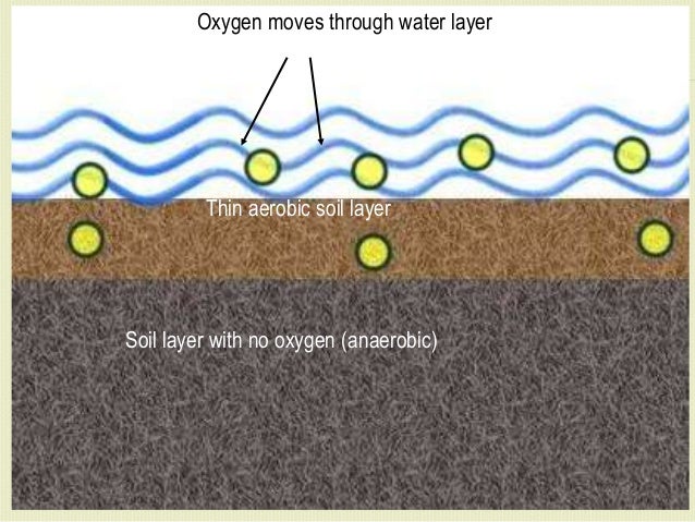 Chemistry and physics of submerged soil