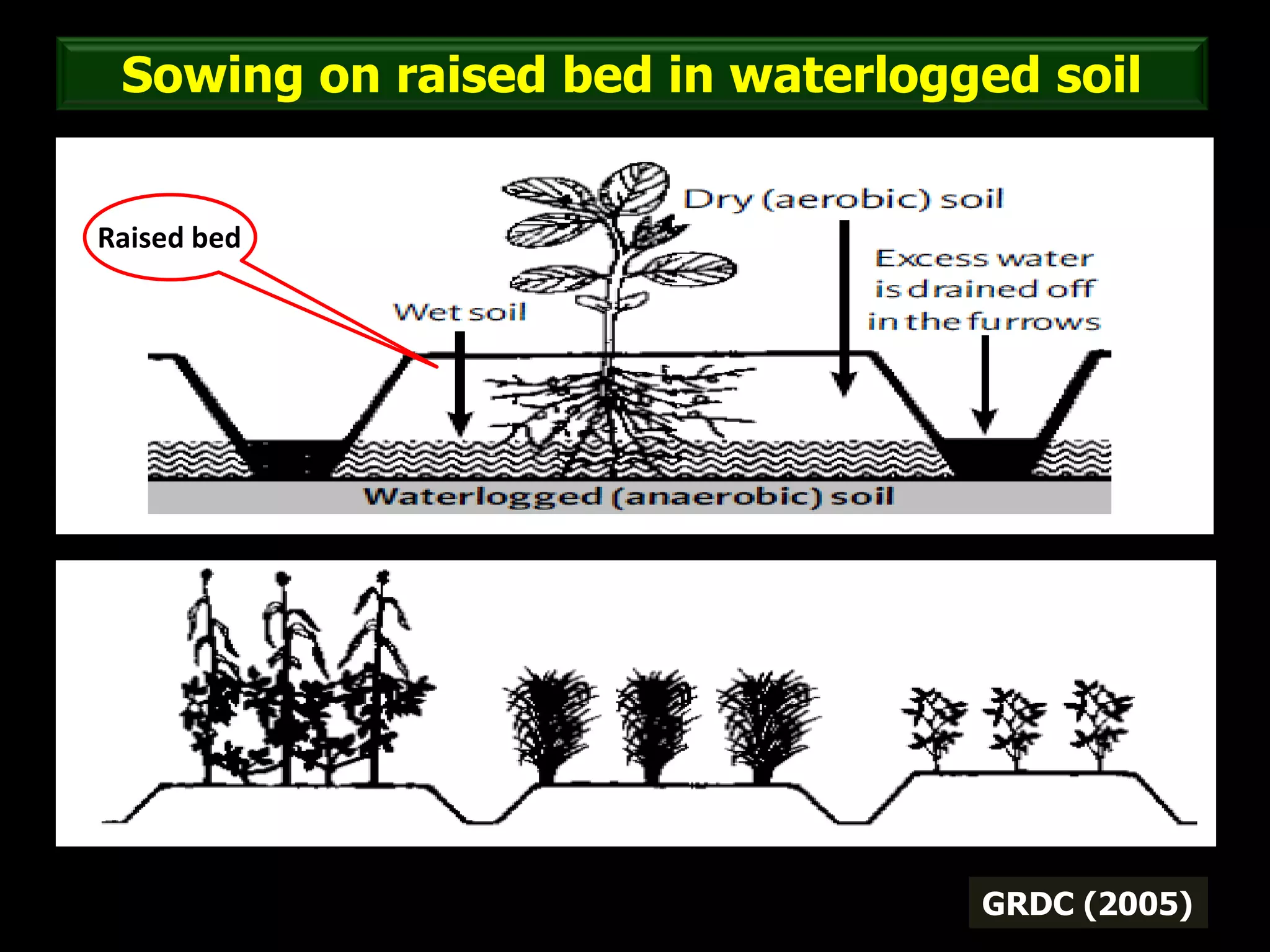 Submerged soil chemistry and management | PDF