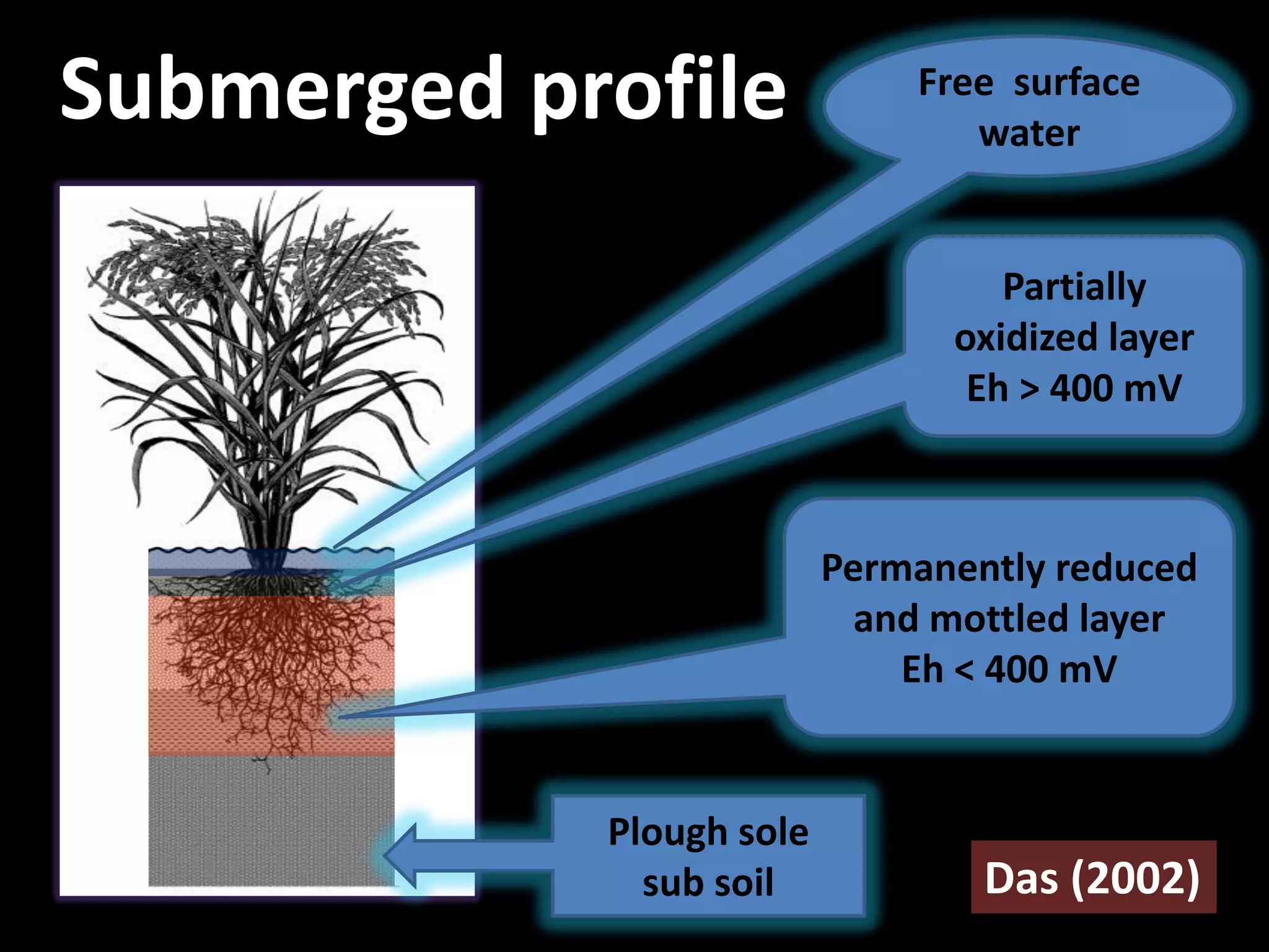 Submerged soil chemistry and management | PDF