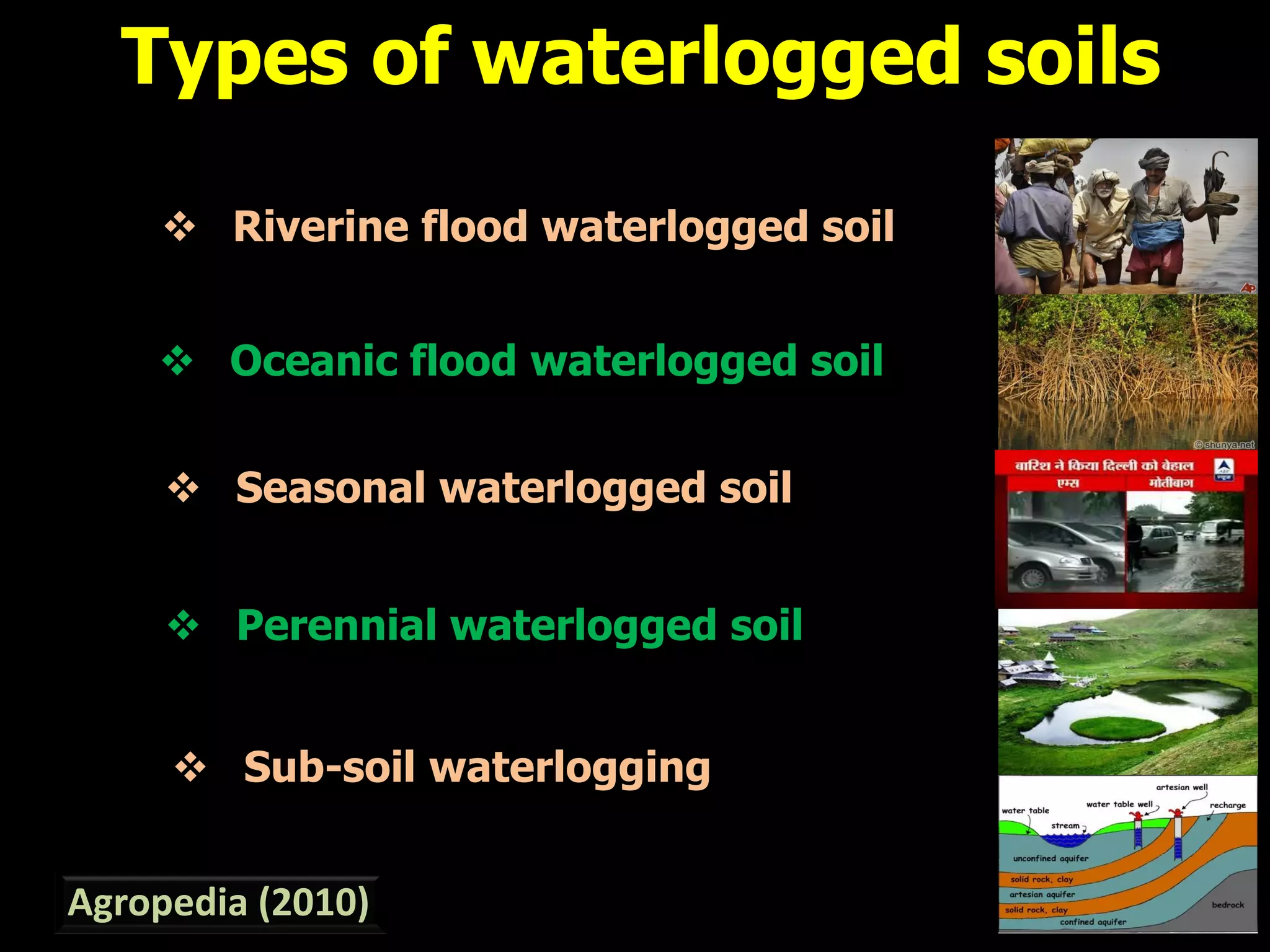 Submerged soil chemistry and management | PDF