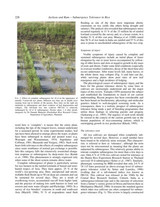 Submergence rice | PDF