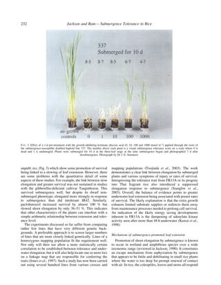 Submergence rice | PDF