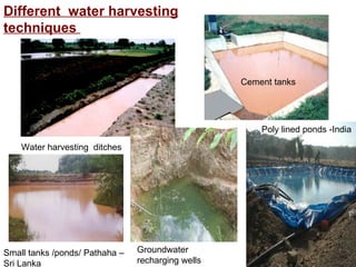 Run-off Water Harvesters and Agro-wells for Supplementary Irrigation of ...