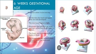Fetal causes of fetality its consequences | PDF