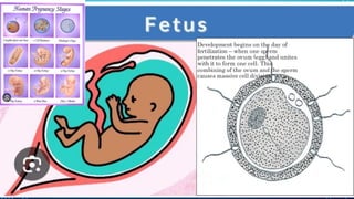 Fetal causes of fetality its consequences | PDF