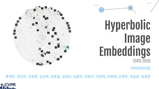 Hyperbolic Image Embedding.pptx