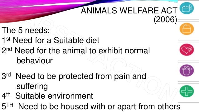 Submit Maintain Animal Health And Welfare Presentation submit-maintain-animal-health-and-welfare-presentation