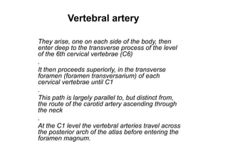 ANATOMY OF SUBOCCIPITAL TRIANGLE REGION | PDF