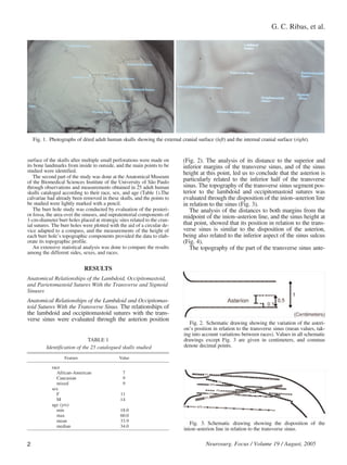 Suboccipital bur holes and craniectomies | PDF