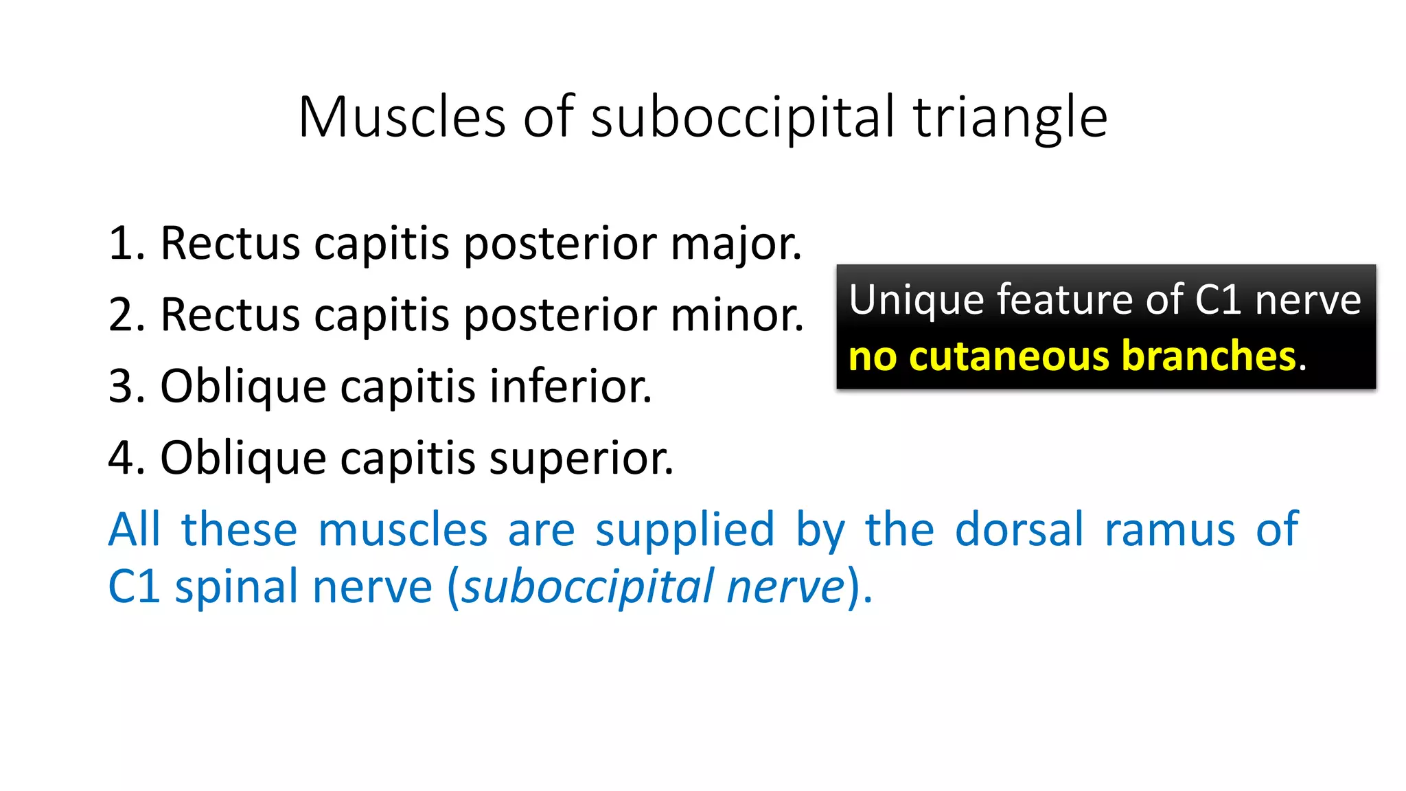 Suboccipital region and muscles of back | PDF