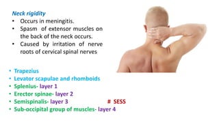 Suboccipital region and muscles of back | PDF