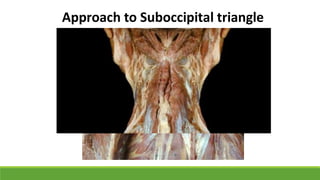 suboccipital triangle | PPTX