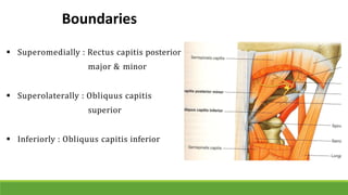 suboccipital triangle | PPTX | Death, Injury, or Military Conflict ...