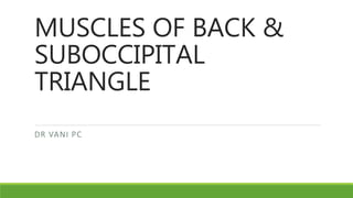 Suboccipital triangle | PDF