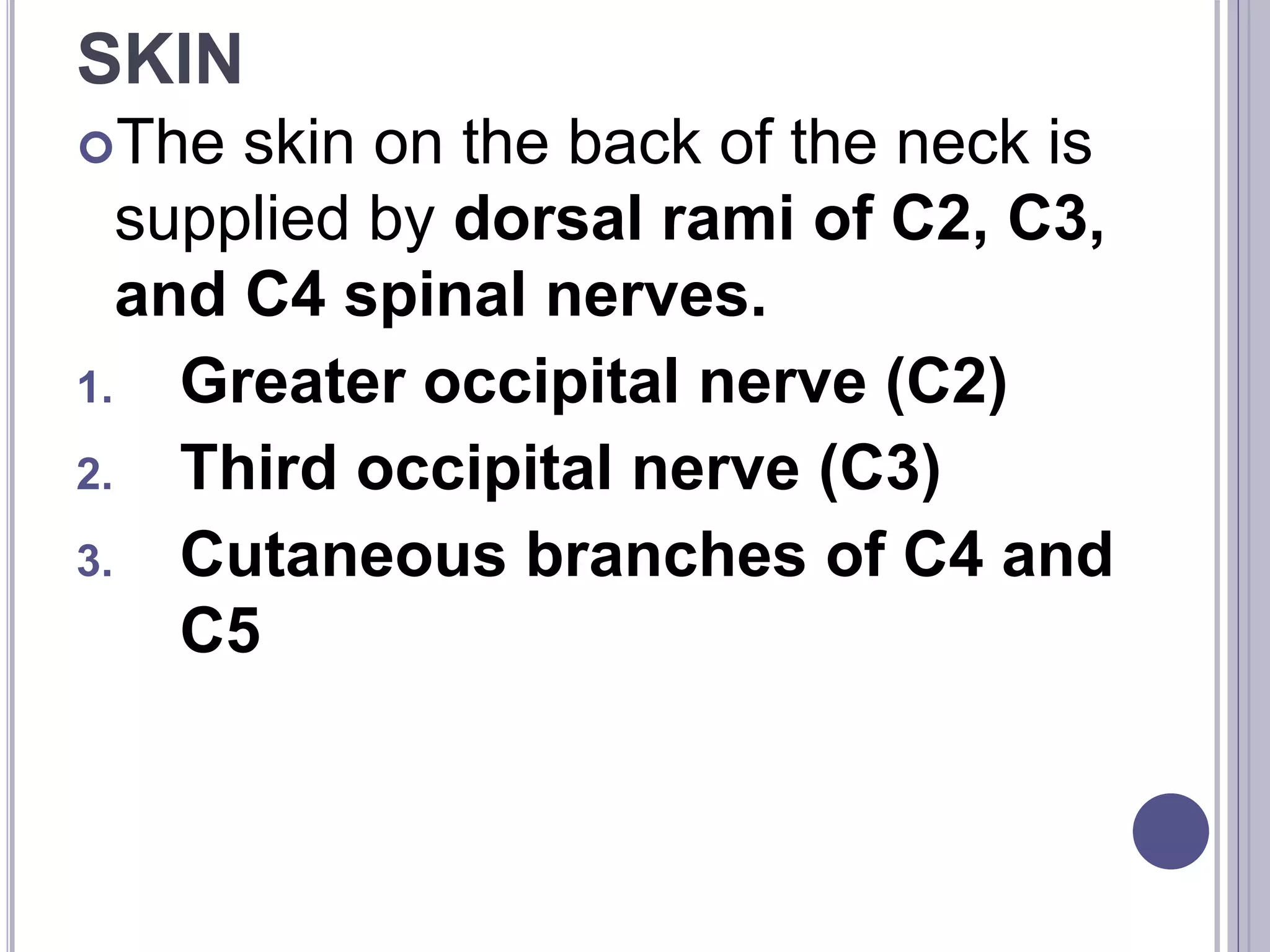 Suboccipital triangle | PPTX