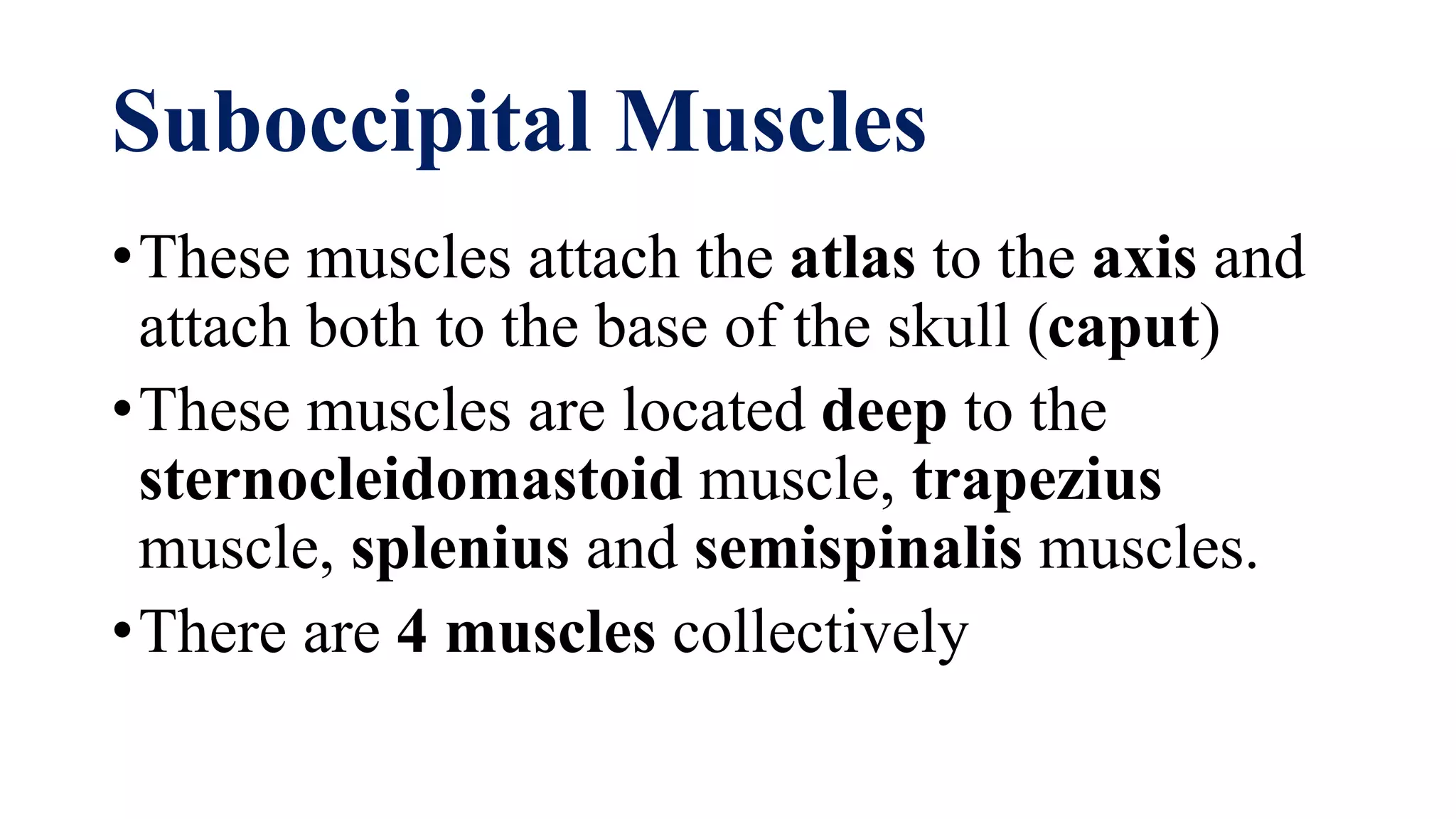 Suboccipital triangle | PDF