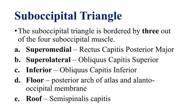 Suboccipital triangle | PDF
