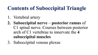 Suboccipital triangle | PDF