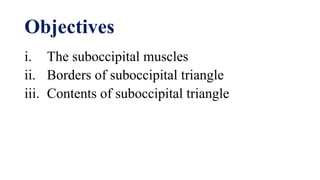 Suboccipital triangle | PDF