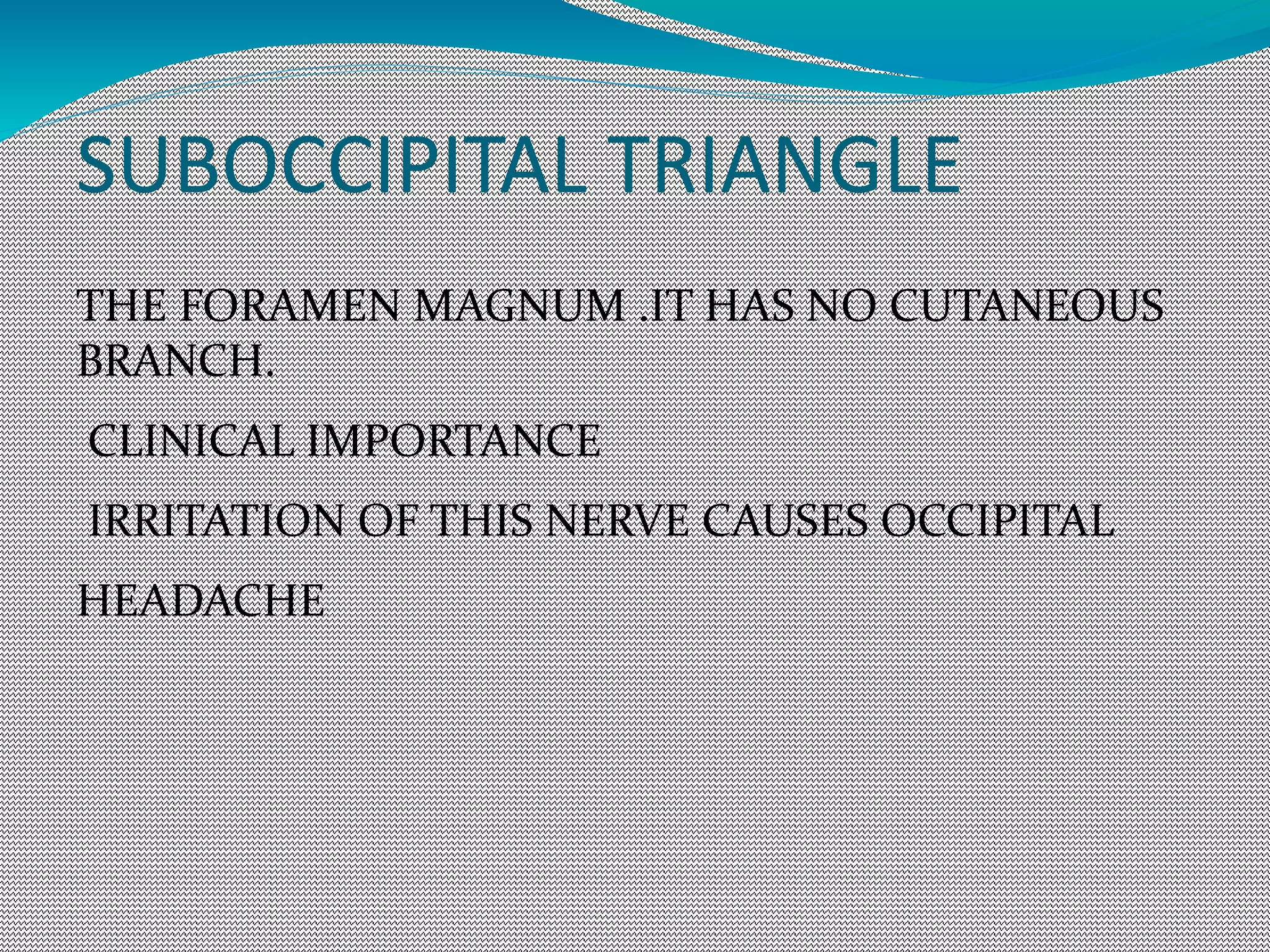 Suboccipital triangle | PDF