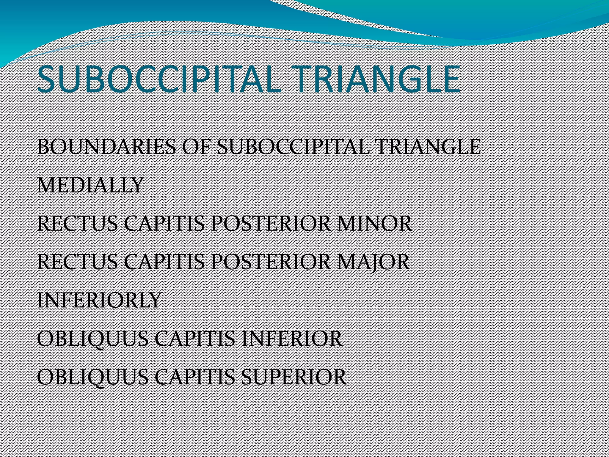 Suboccipital triangle | PDF