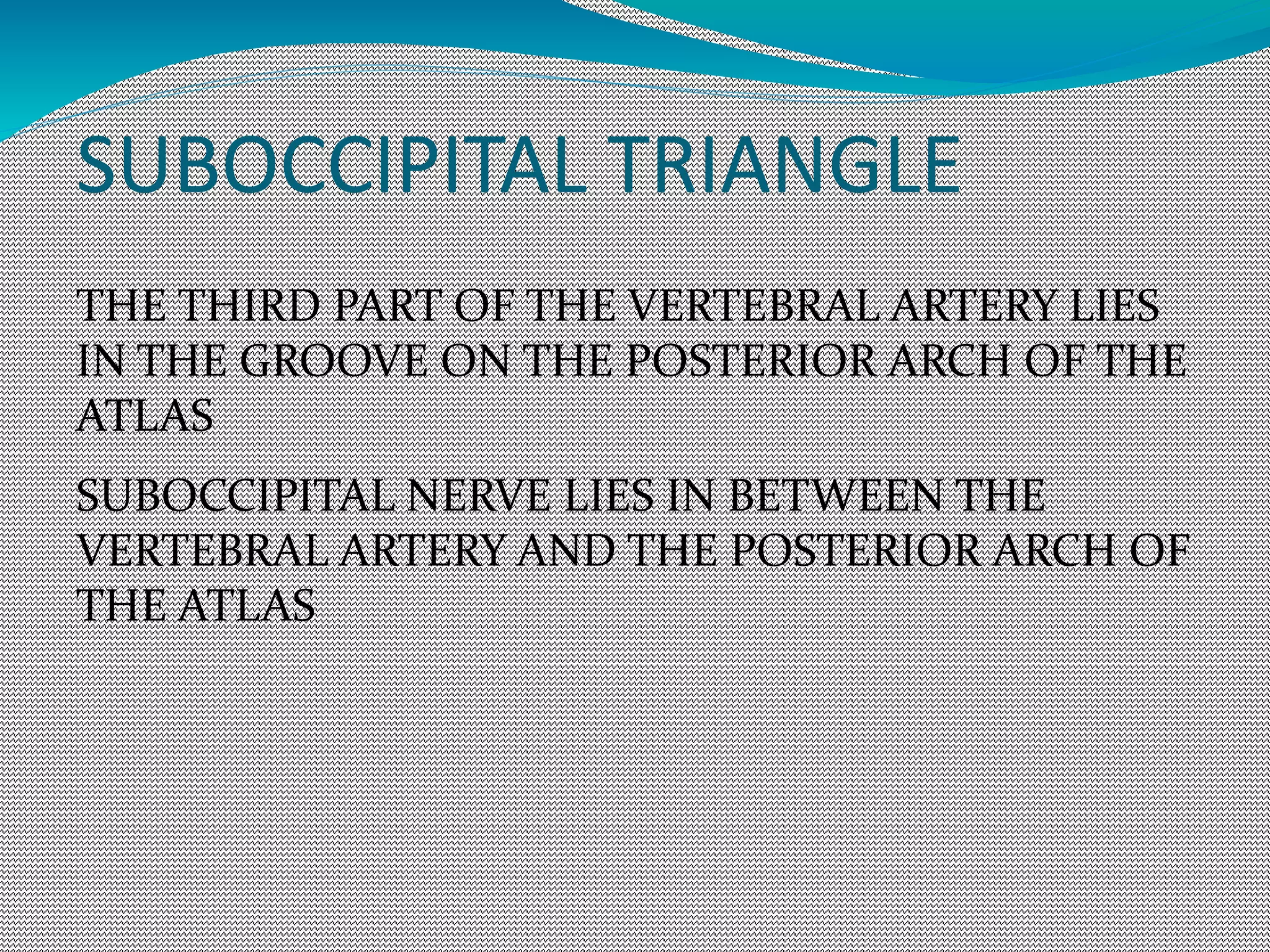 Suboccipital triangle | PDF