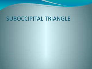 Suboccipital triangle | PDF