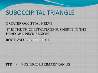 Suboccipital triangle | PDF
