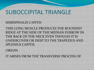 Suboccipital triangle | PDF