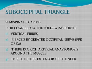 Suboccipital triangle | PDF