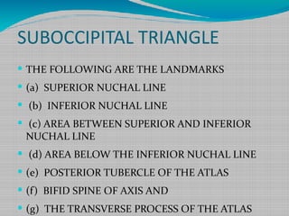 Suboccipital triangle | PDF