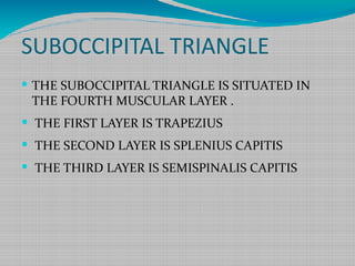 Suboccipital triangle | PDF