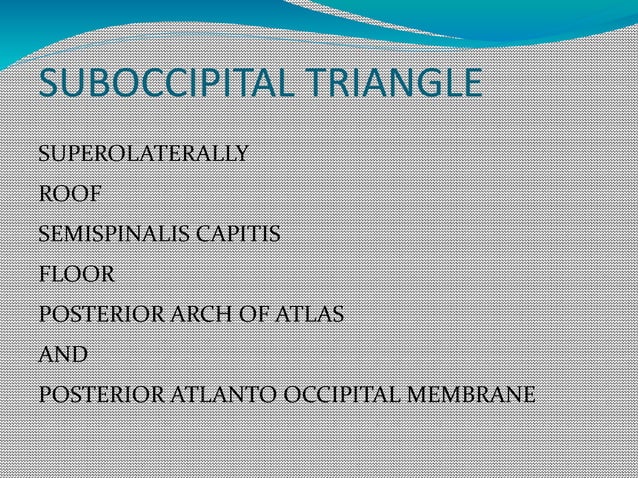 Suboccipital triangle | PDF