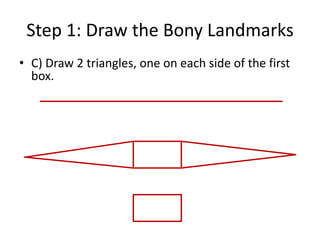 Suboccipital Triangle Made Easy | PPTX