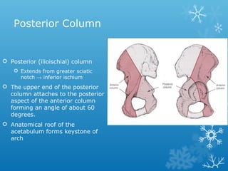 Subodh acetabulum ppt | PPT