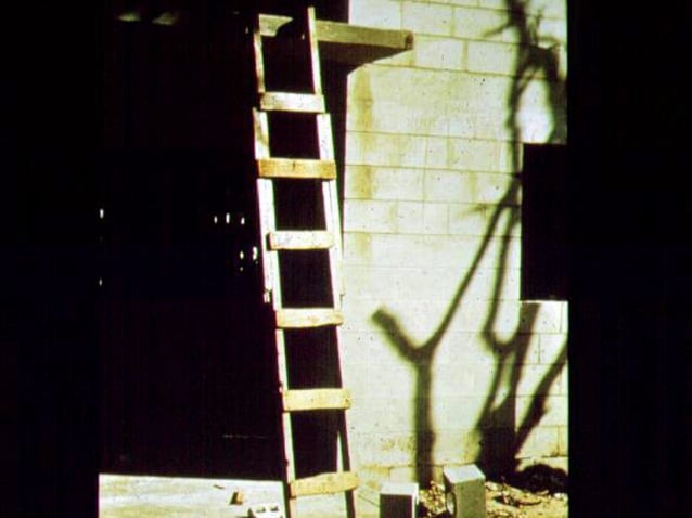 Subpart X - Ladders | PPS