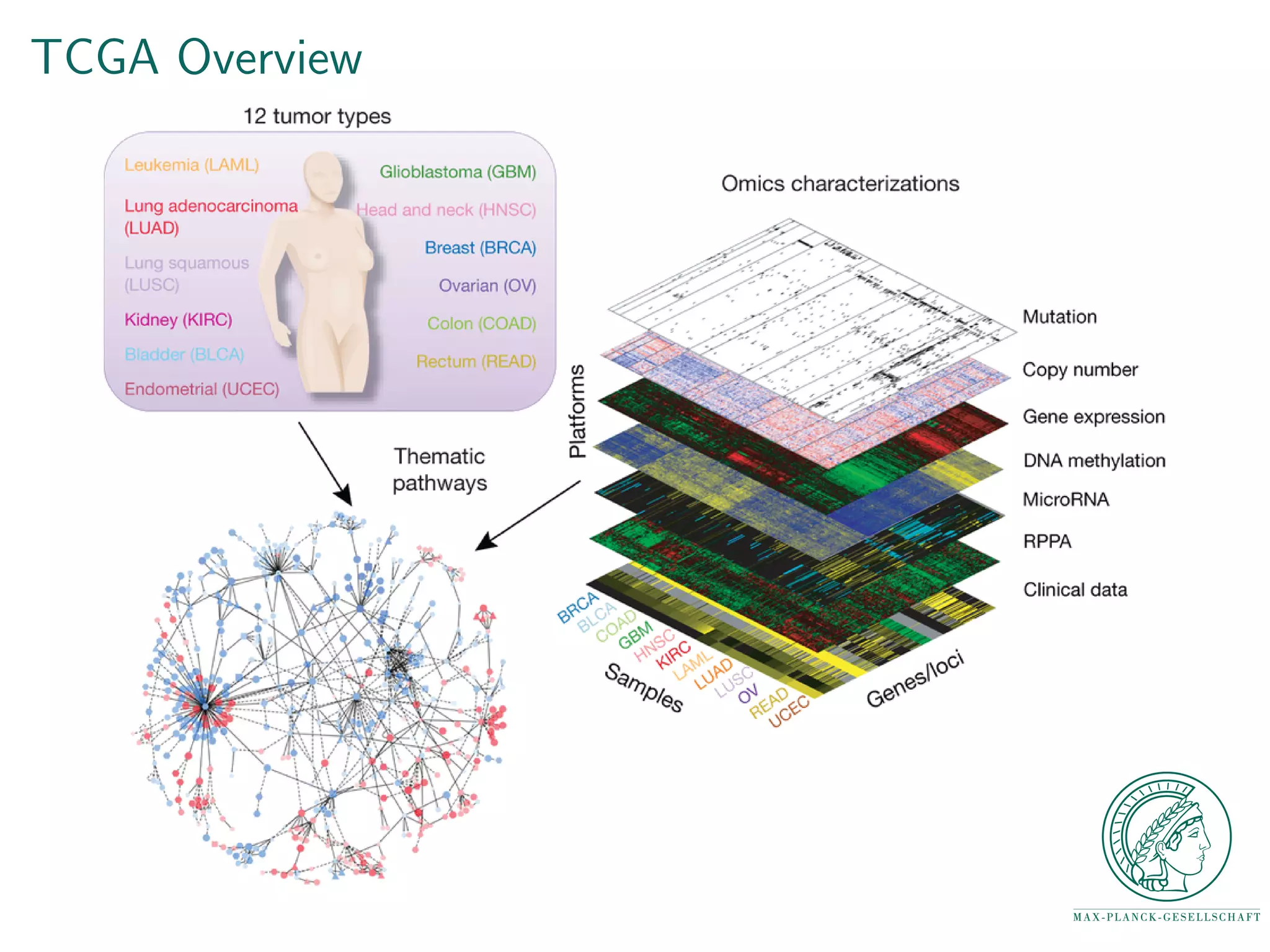 Subphenotyping in TCGA data | PDF | Cancer | Diseases and Conditions
