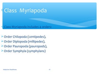 Subphylum mandibulata (By: J.Q) | PPT