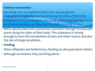 Subphylum mandibulata (By: J.Q) | PPT