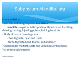 Subphylum mandibulata (By: J.Q) | PPT