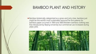 Bamboo fiber | PPTX