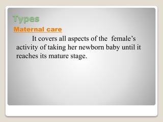 "parental care of harvivore animals "seminar by Subrata paul | PPT