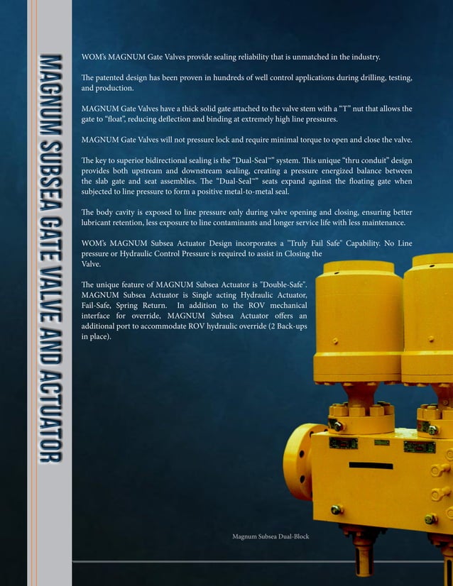 Subsea intervention systems | PDF
