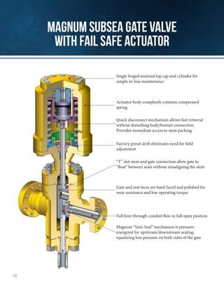 Subsea-Manifolds-and-Structures - Worldwide Oilfield Machine Inc. | PDF
