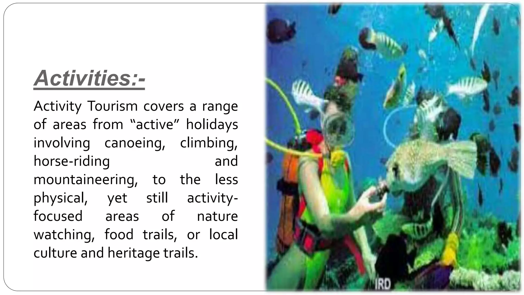 Subsection of tourism | PPTX