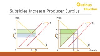 Subsidies Notes - A-level & IB Economics | PDF