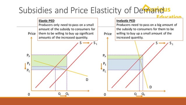 Subsidies Notes - A-level & IB Economics | PDF