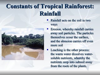 Subsistence Systems: Food Producing Systems | PPT