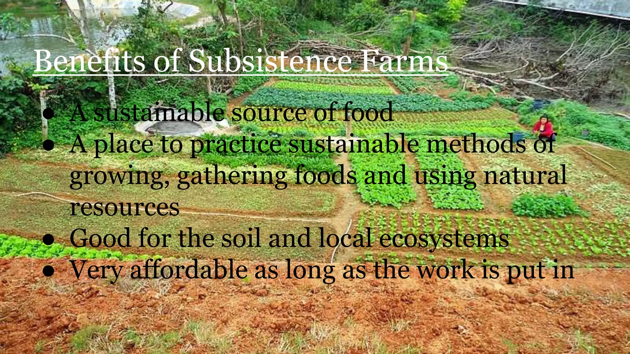 Subsistence farming | PPTX