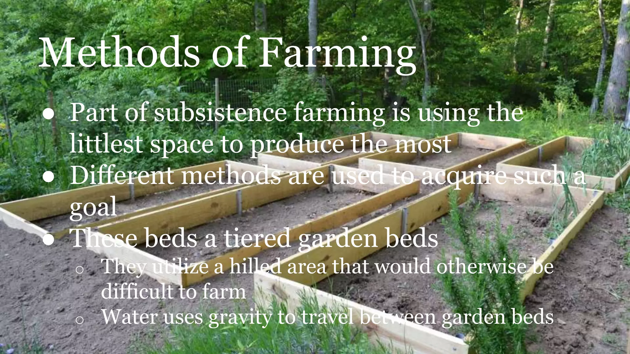 Subsistence farming | PPTX